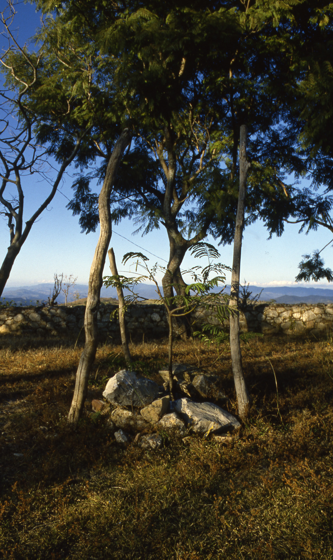 Mexico006 – FRANKI RAFFLES ARCHIVE